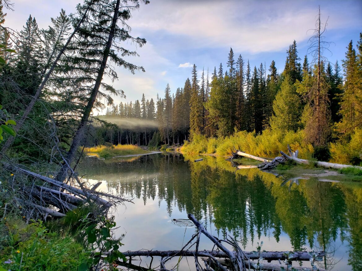 Capture Nature Photography Contest