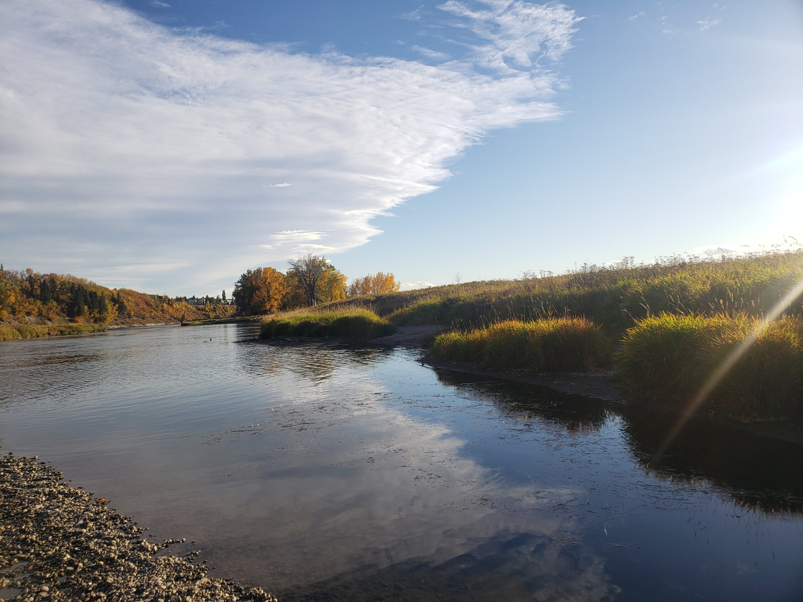 Capture Nature Photography Contest 2025 - Friends of Fish Creek ...